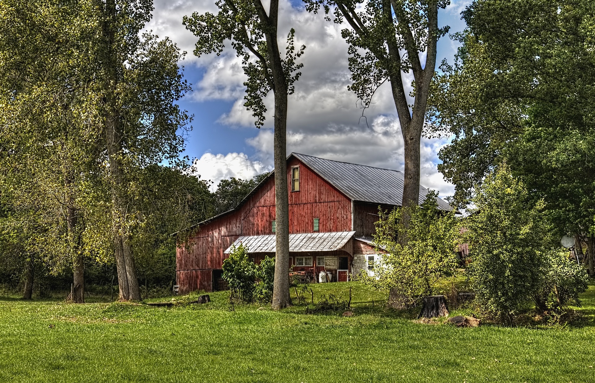 Trees, Storms and Your Home Insurance | Castle Insurance
